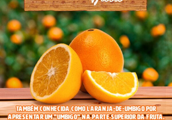 Festival de Citros ALFACITRUS: Uma celebração de saúde, sabor e ...