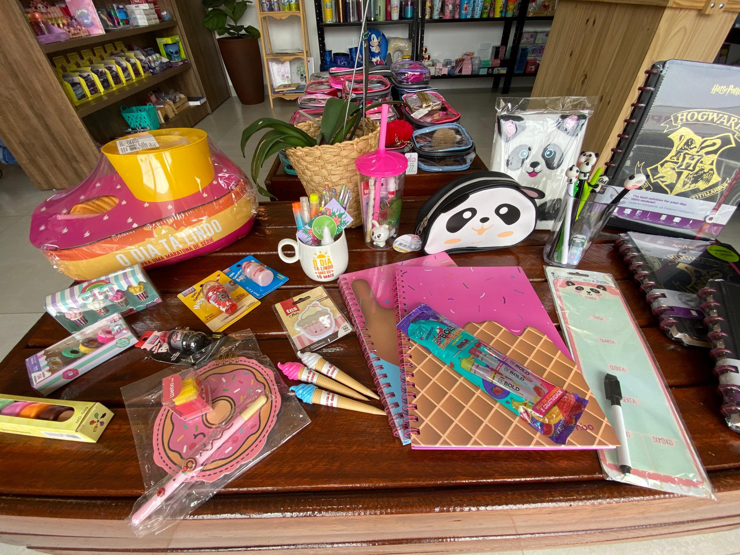 Benedita Papelaria: Sua escolha completa em papelaria em Artur Nogueira