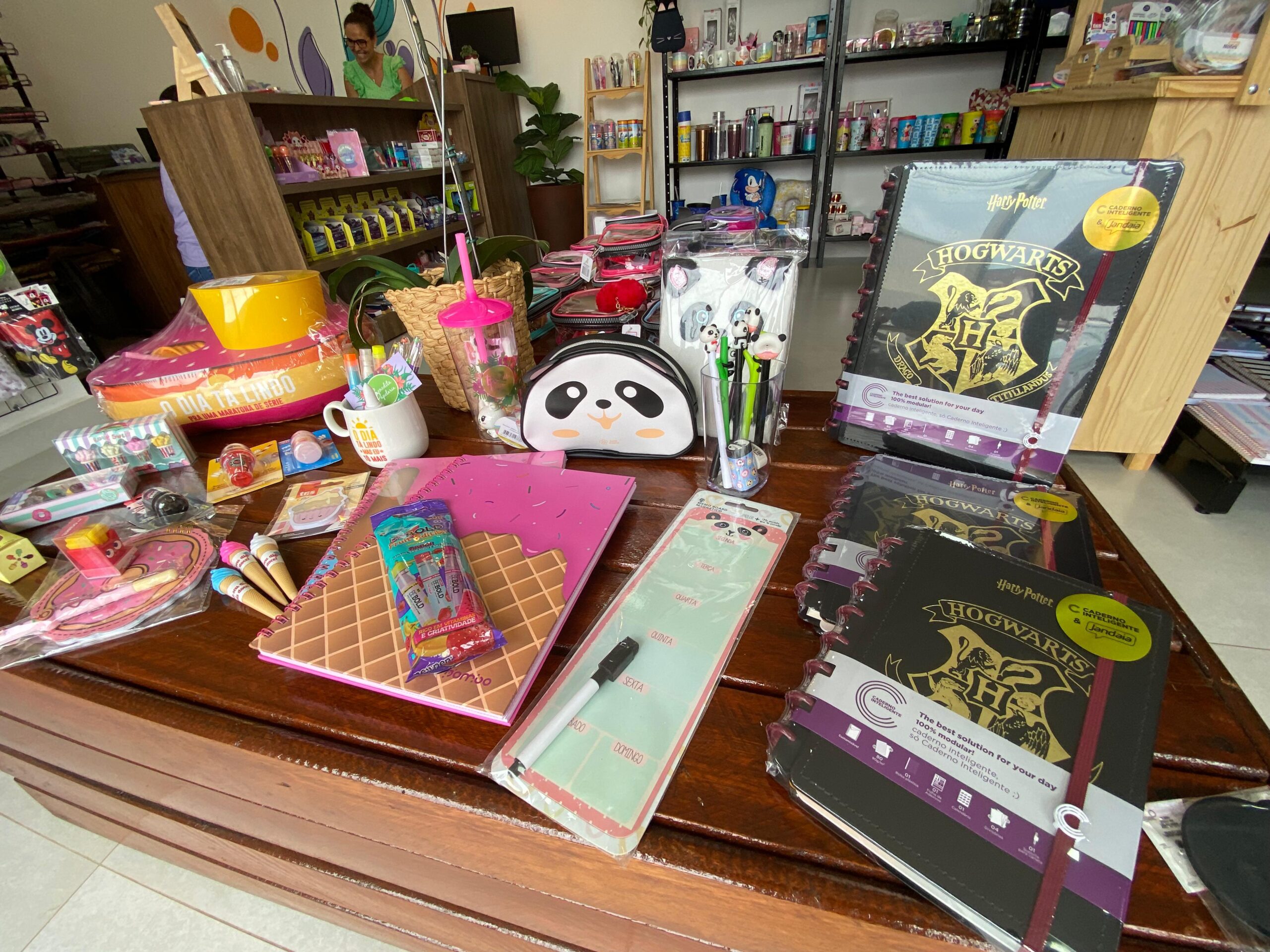 Benedita Papelaria: Sua escolha completa em papelaria em Artur Nogueira