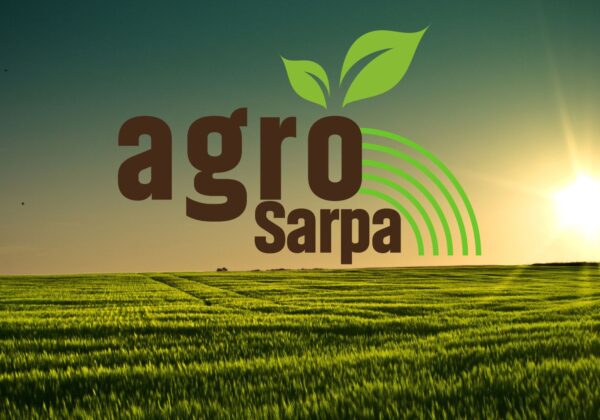 Culturas fortes, colheitas abundantes: O compromisso da Agro Sarpa com ...
