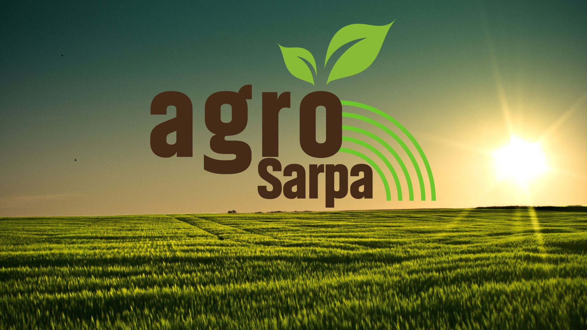 Culturas fortes, colheitas abundantes: O compromisso da Agro Sarpa com ...