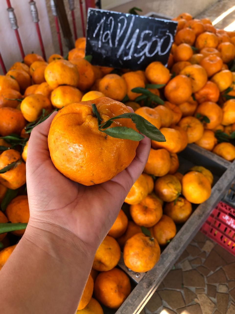 Bergamota, Ponkan, Mimosa: conheça as várias identidades da tangerina