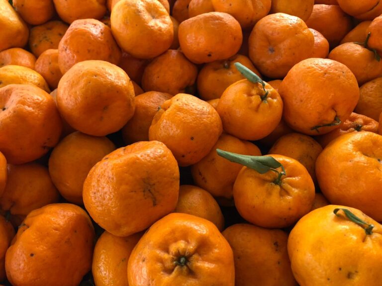 Bergamota, Ponkan, Mimosa: conheça as várias identidades da tangerina